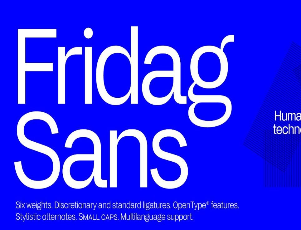 Fridag Sans Font Family - FontforFree