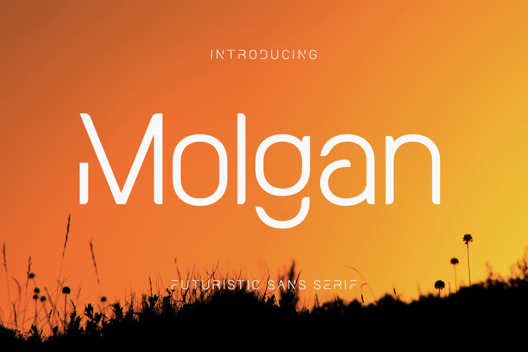 Molgan Font - Download Free Fonts