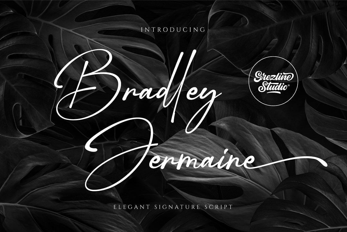 Bradley Jermaine Font - Download Free Fonts