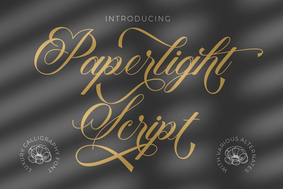 Paperlight Script Font - Download Free Fonts