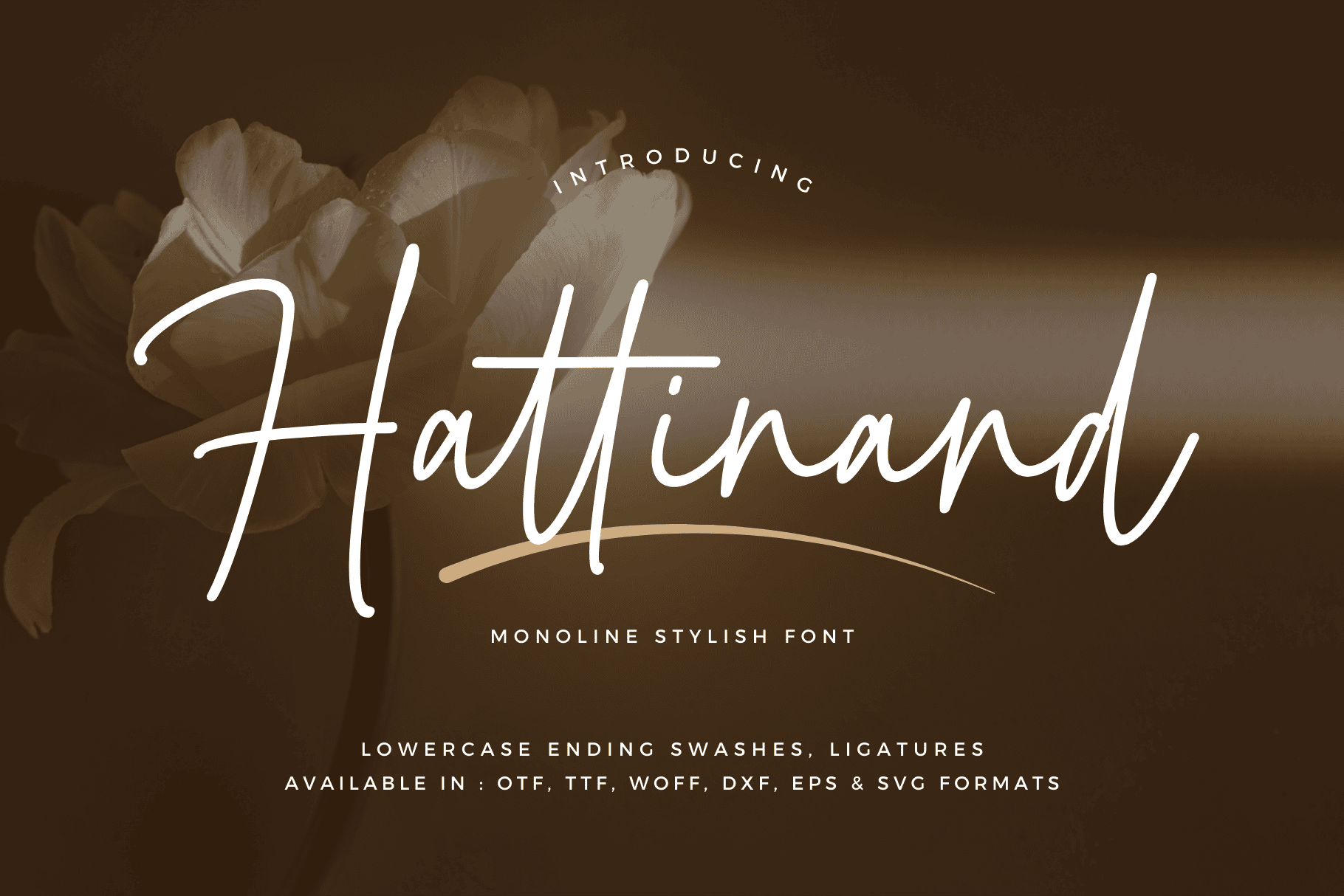 Hattinand Font - Download Free Fonts