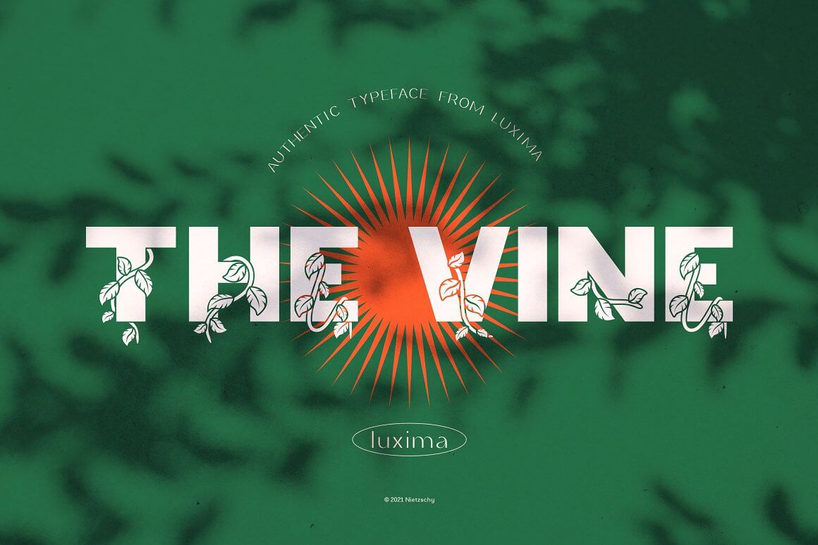 The Vine Font - Download Free Fonts