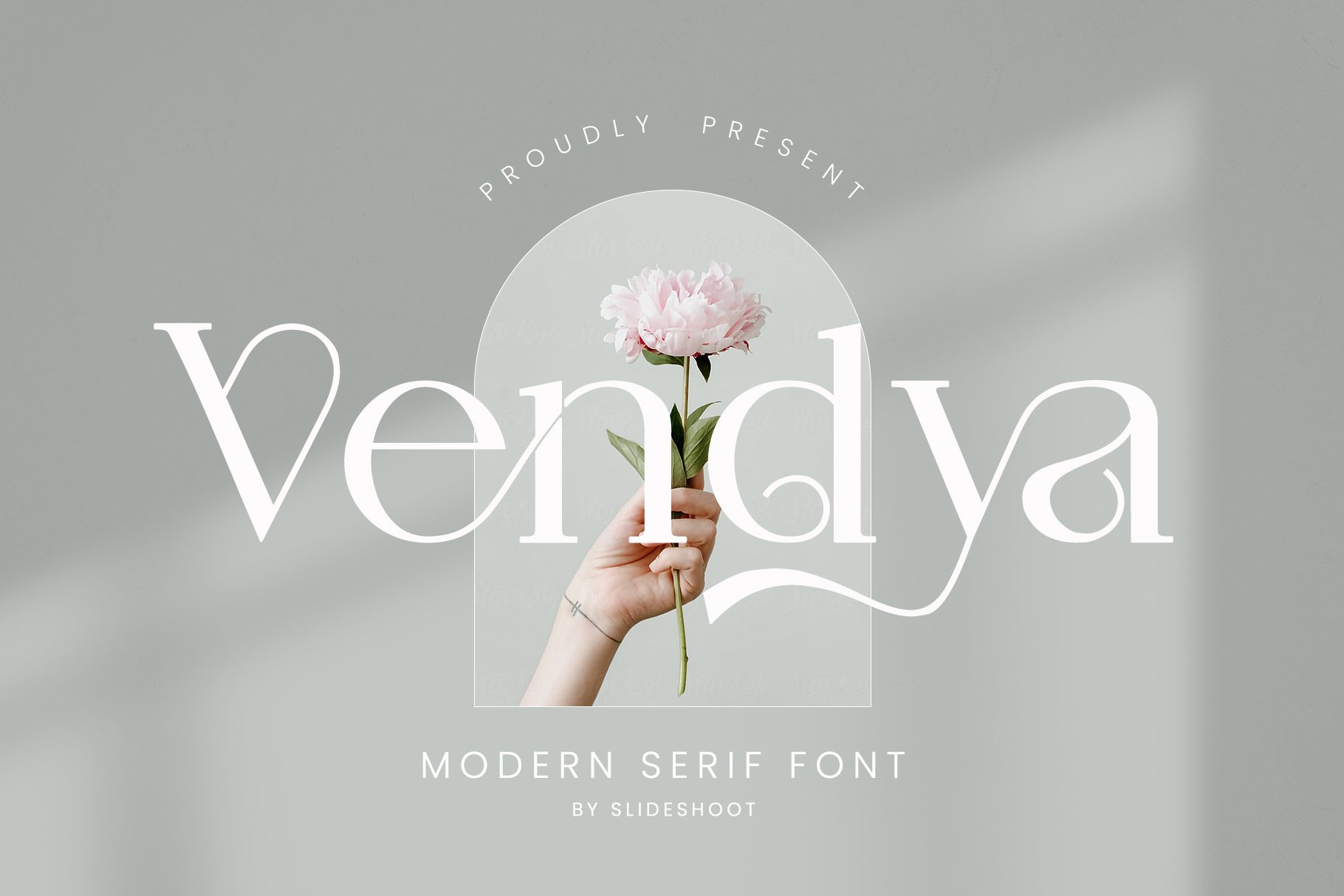 Vendya Font - Download Free Fonts