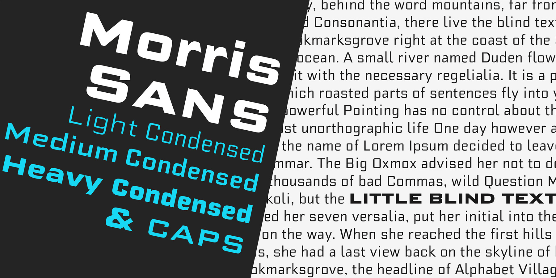 Morris Sans Pro Font Family - Download Free Fonts