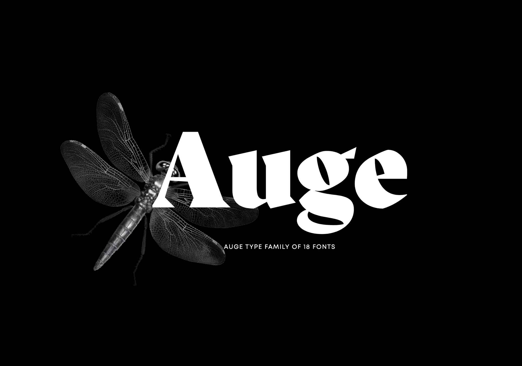 Auge Font Family - Download Free Fonts